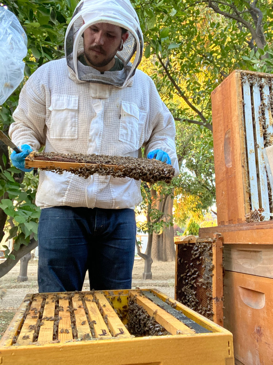 Beekeeping Frames – Pierco